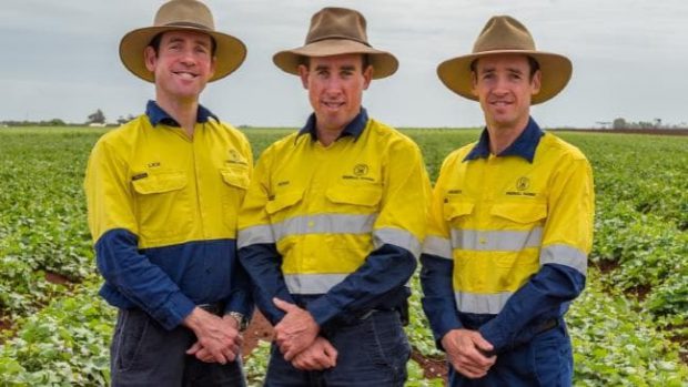 How three farmers made $1.21 billion - FMCG Business